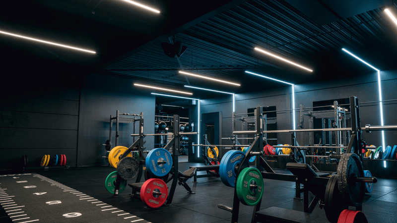 Strength Factory | De gym voor serieuze krachttraining in Rotterdam