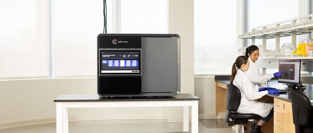 Reveal Cellular Choreography, See Biology in Motion. | Cellanome