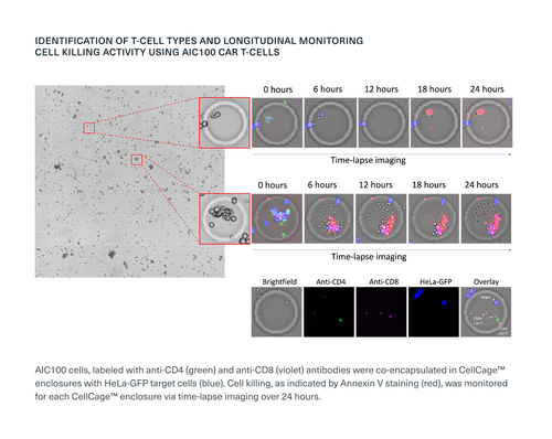 Reveal Cellular Choreography, See Biology in Motion. | Cellanome