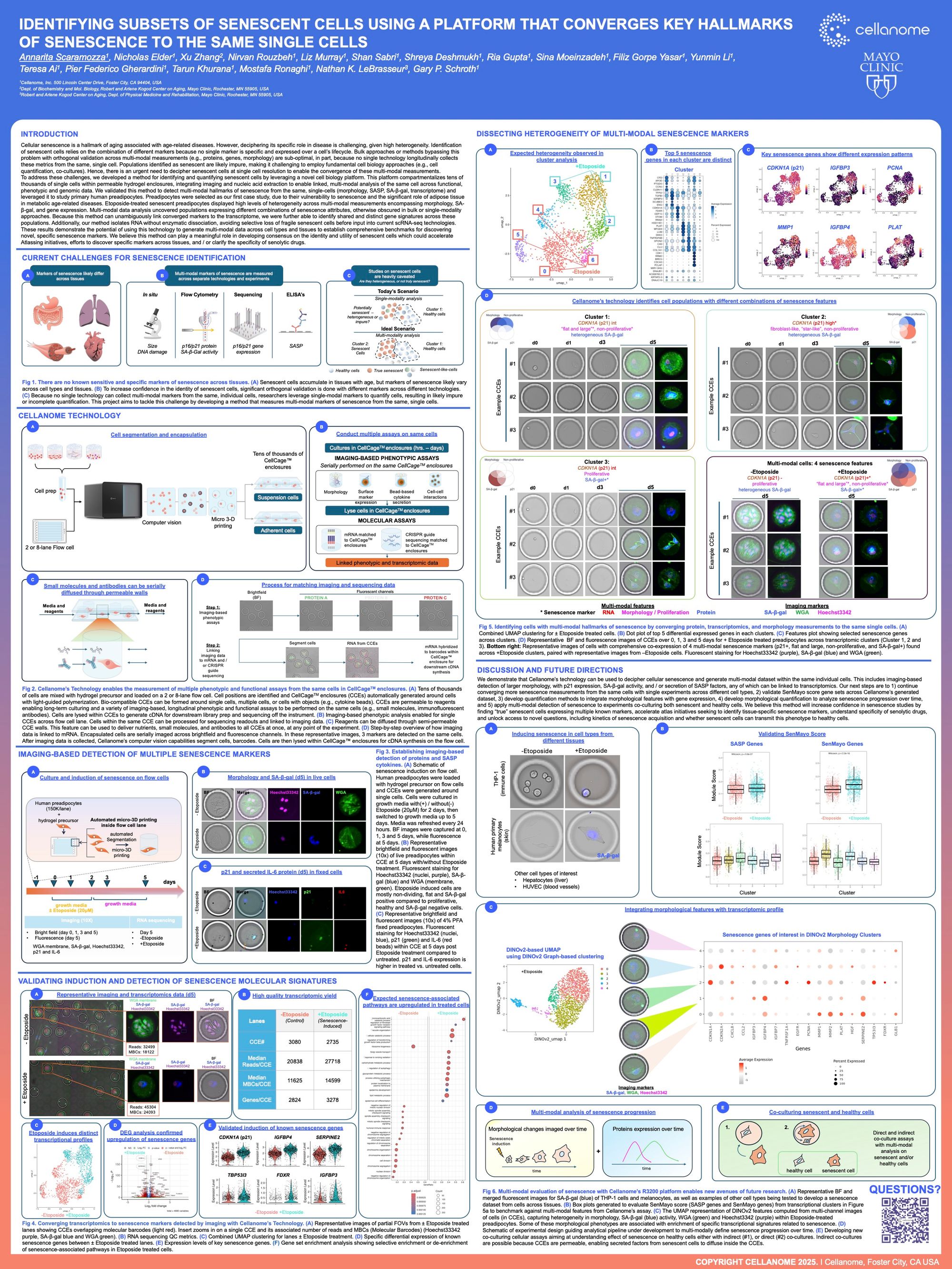 Resources: Posters