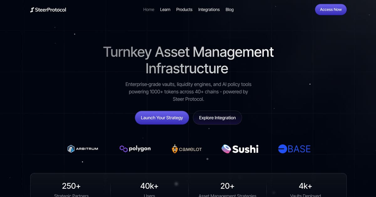 About Us - Steer Protocol