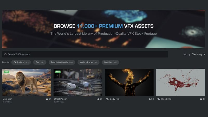 After Effects 101: Basic Keyframe Types