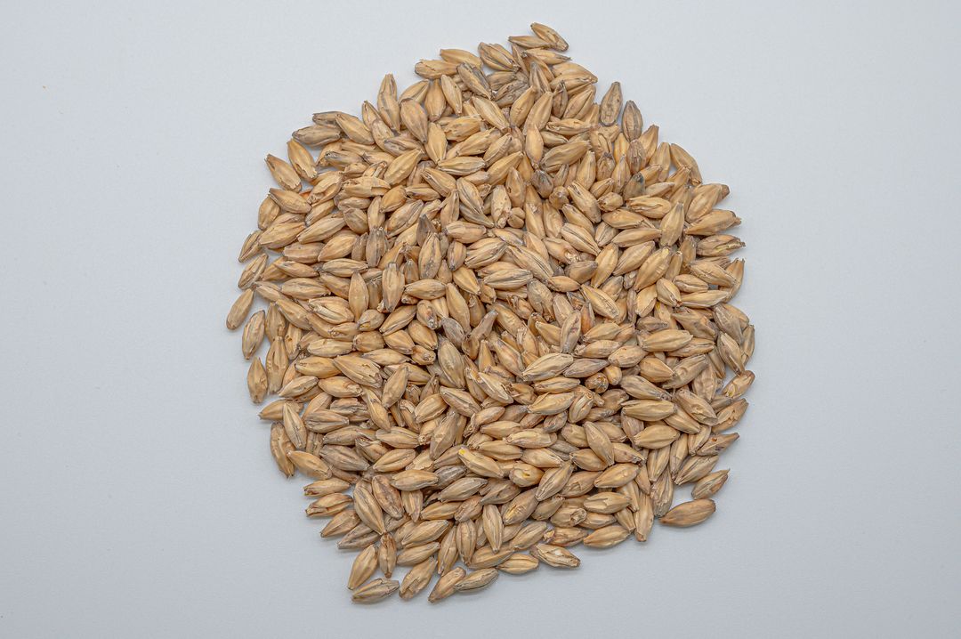 Prairie Malt