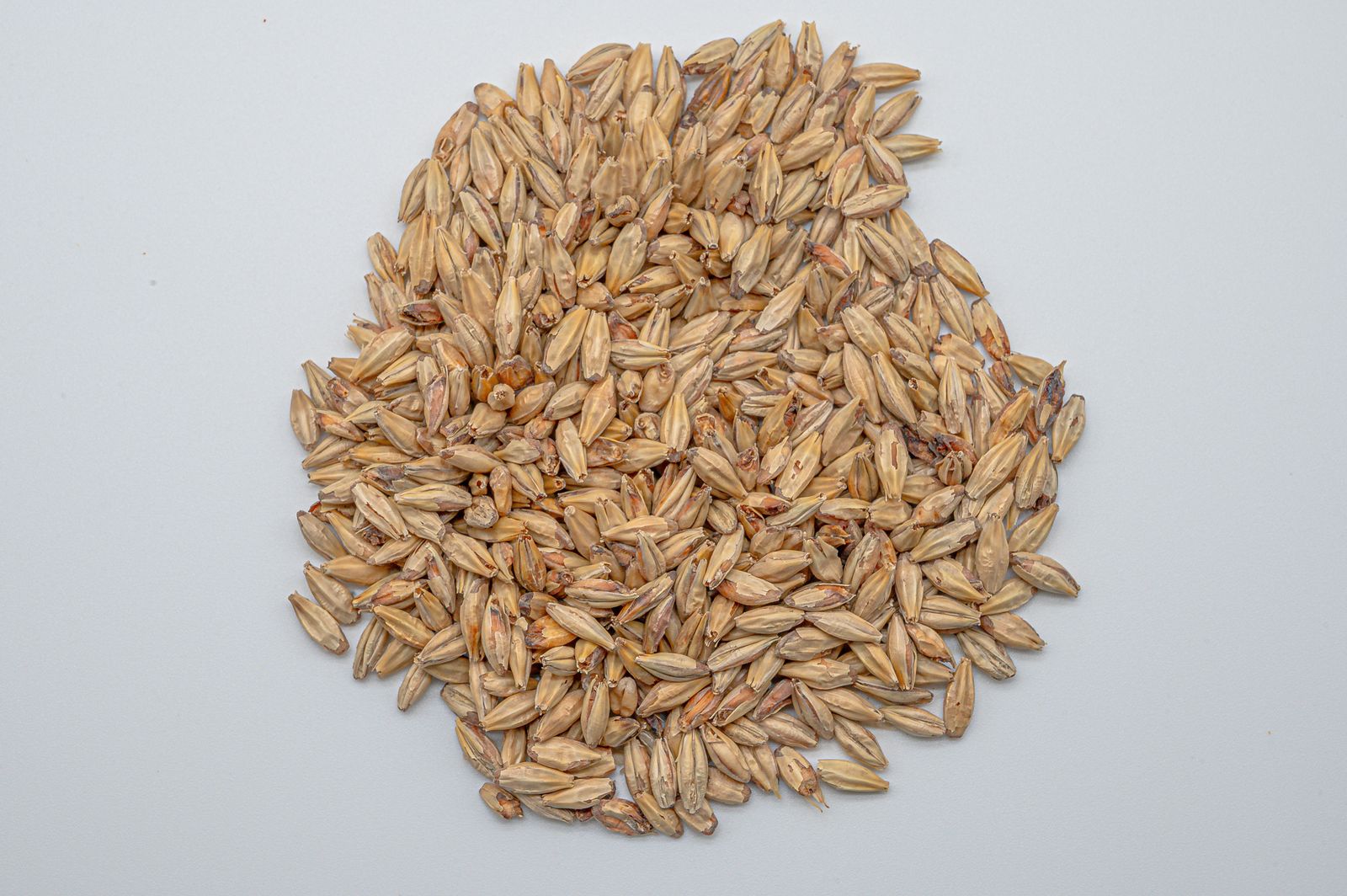 Prairie Malt