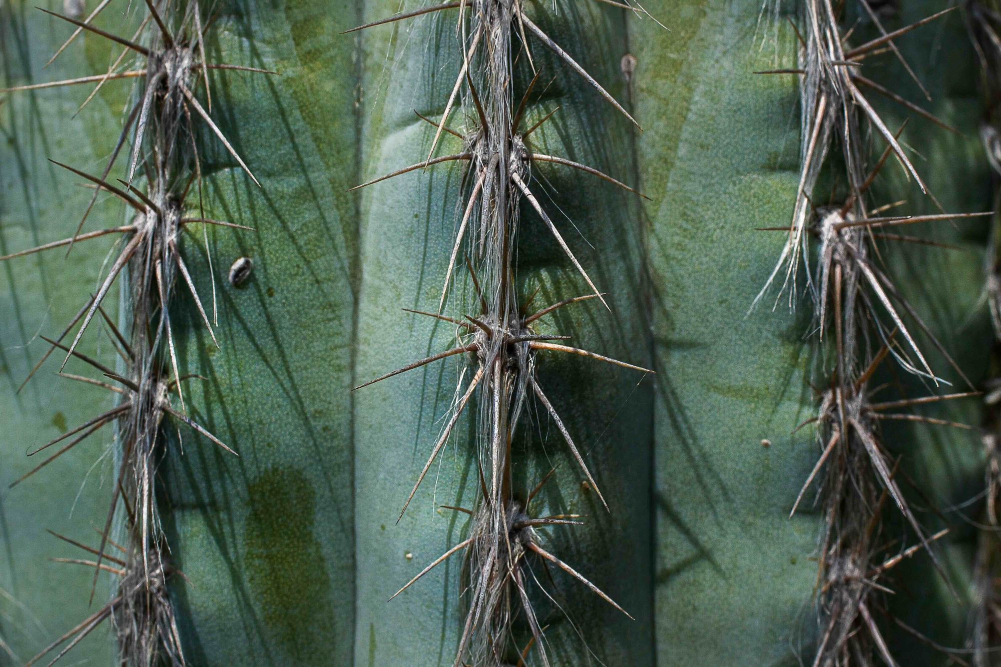 Overstimulation: What it is + how to calm your brain