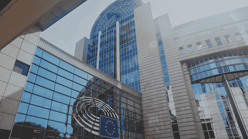 Spam vs Scam | Spotlight Blog | Themis