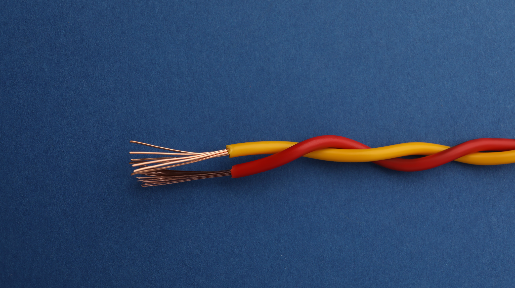 Cat 2 Cable Explained: Legacy Tech That Still Matters Today | Monoprice