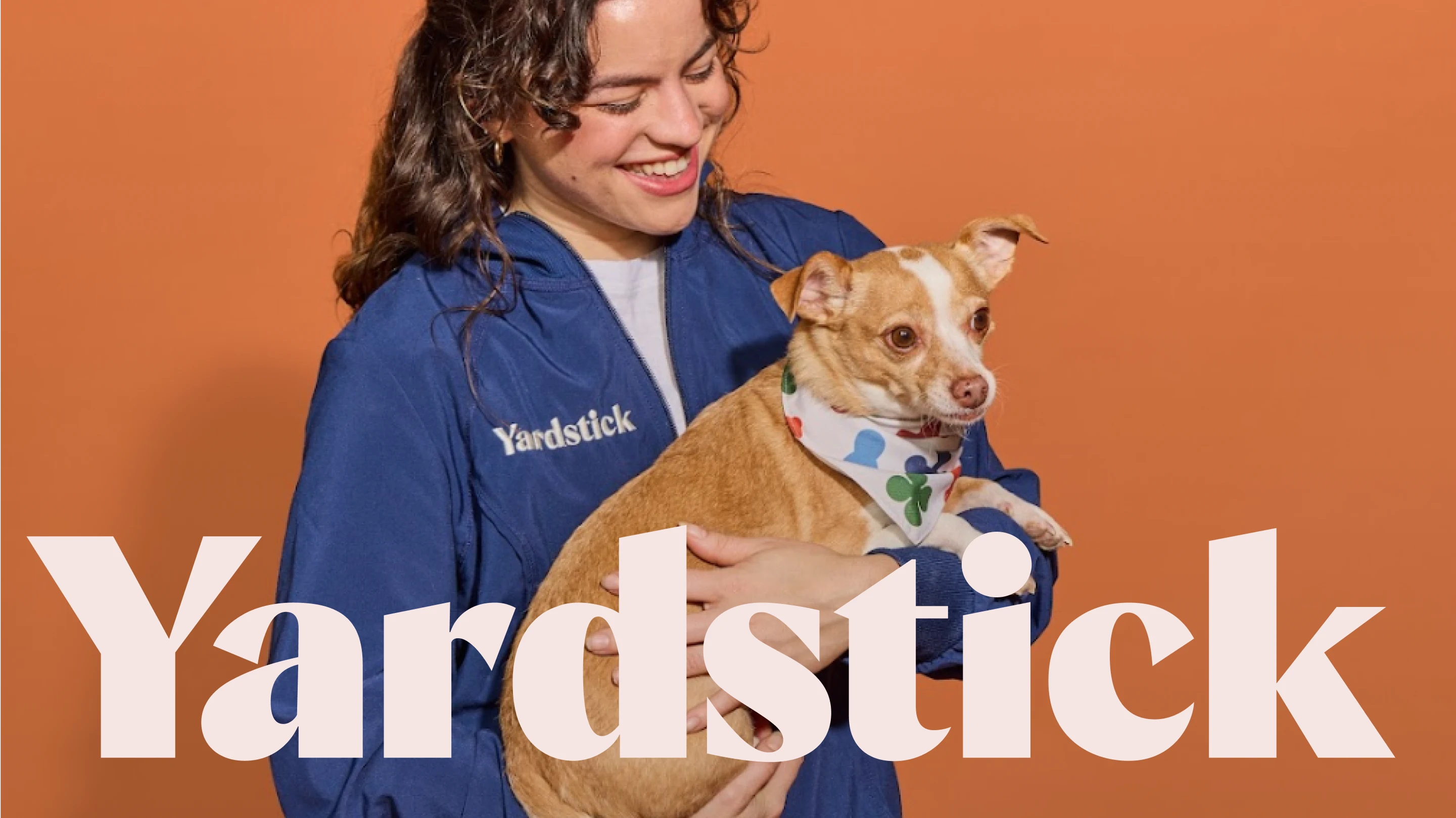 Premium Dog Boarding and Dog Daycare | Yardstick Dog Hotel