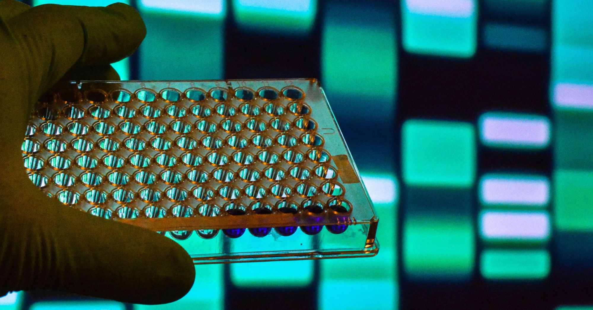 NICE & MHRA Partnership: What It Means for Pharma & the NHS | CHASE