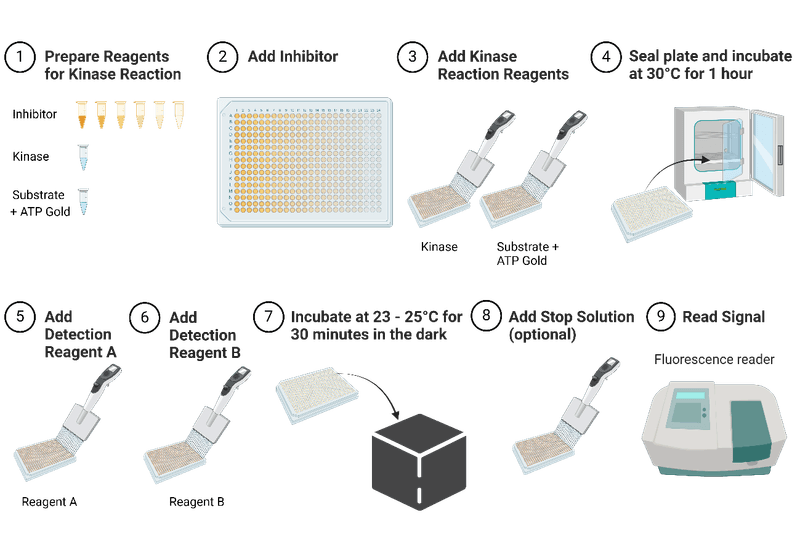 Pim-3 Kinase Enzyme Activity Assay | Complete, Ready-to-Use Kit ...
