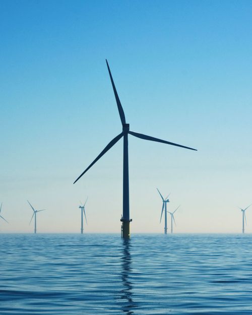 World Sustainability Day: Why Switch to Renewable Energy