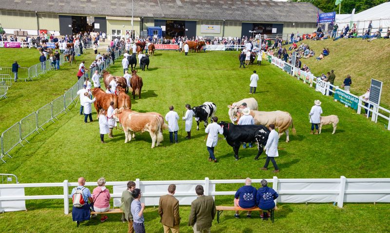 Farm Cornwall - Supporting Farms in Cornwall