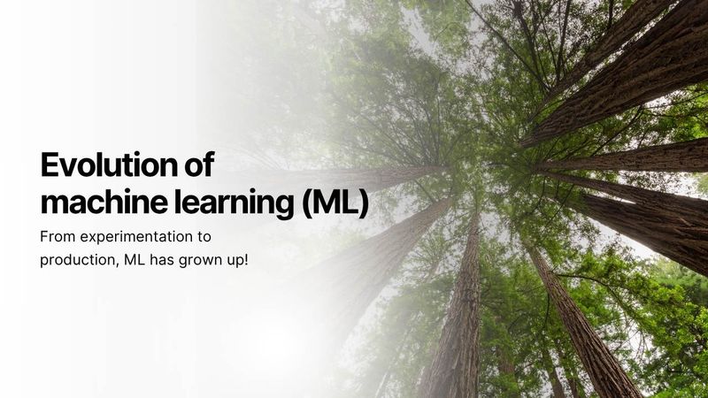 xAI’s Grok 4 goes free, upping the competitive heat after GPT-5 launch ...