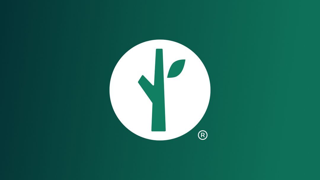 Statement in Response to Recent Reports