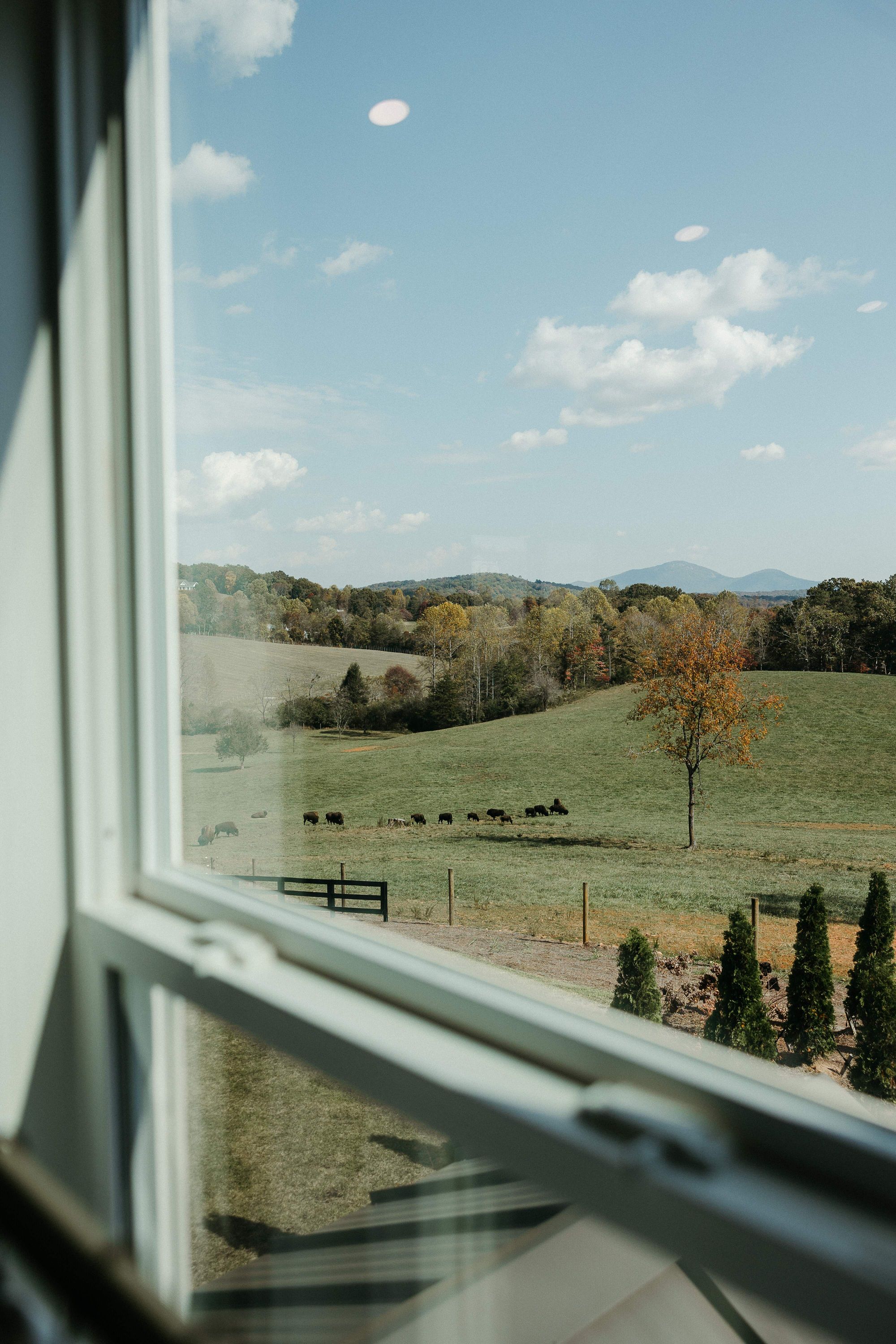 The Overlook at KC Bison Ranch | Wedding Venue North Georgia