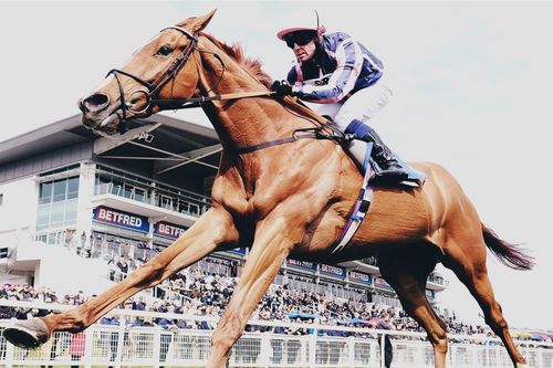 The Jockey Club | Elevate