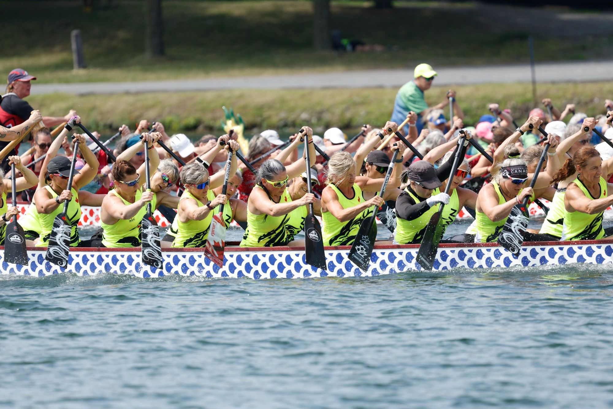 Dragon Wave Hub – Global Dragon Boat News, Events & Community Portal