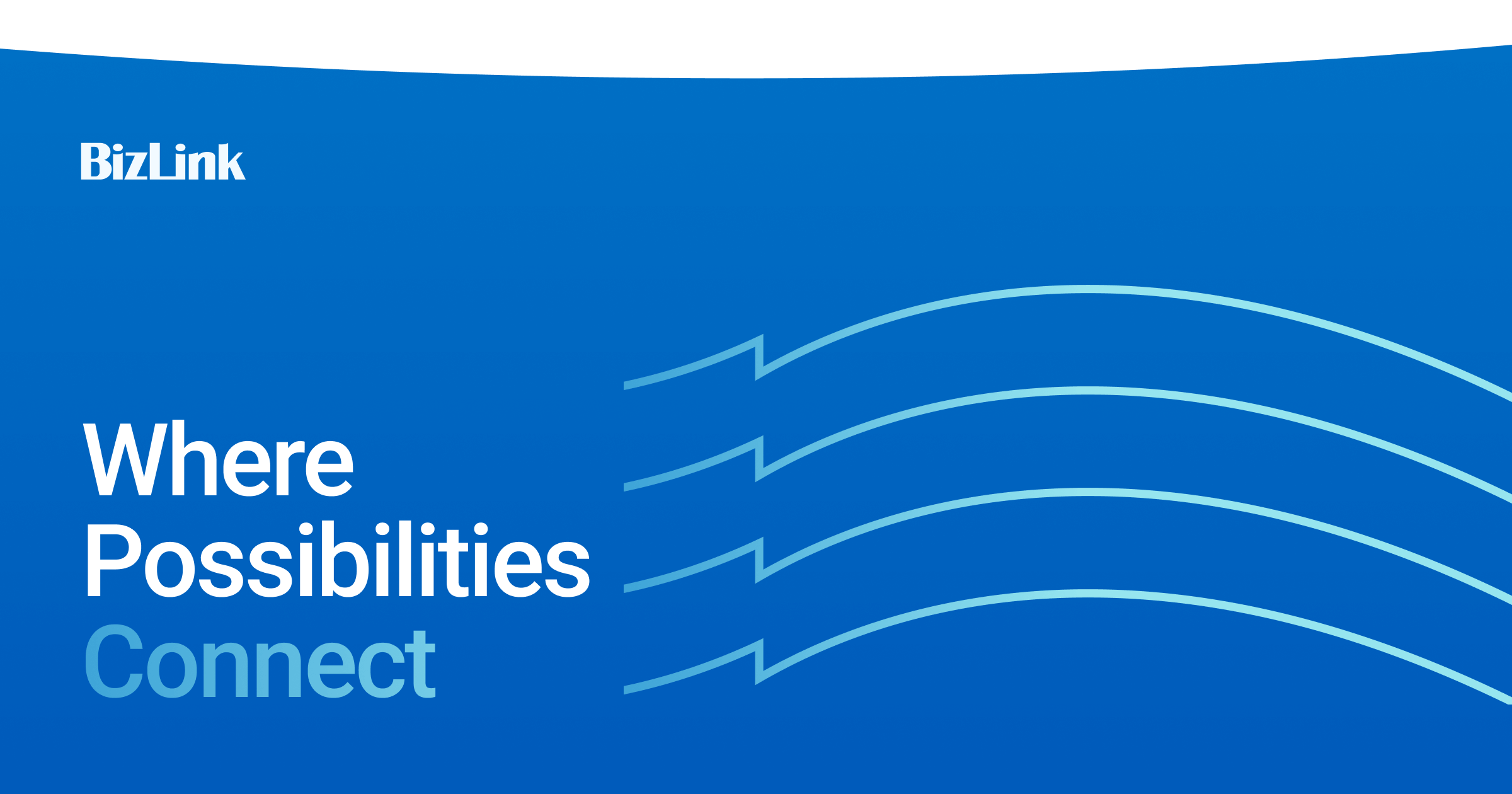 BizLink | Where Possibilities Connect