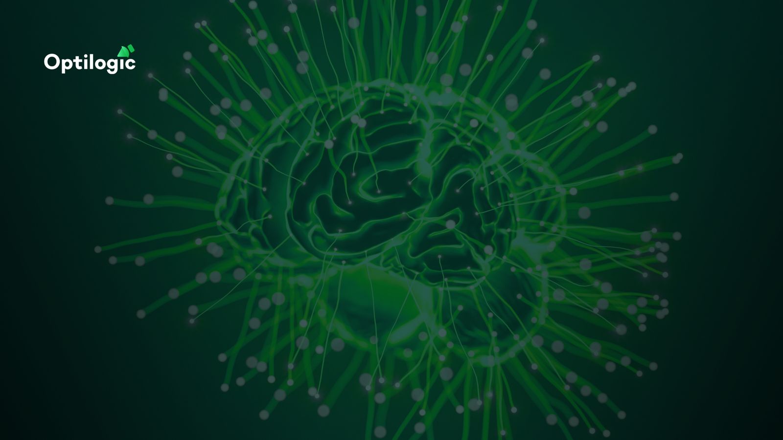 Optilogic Solutions