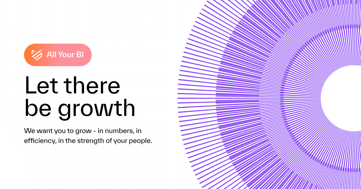 Data Accelerator Services & BI Consulting | All Your BI