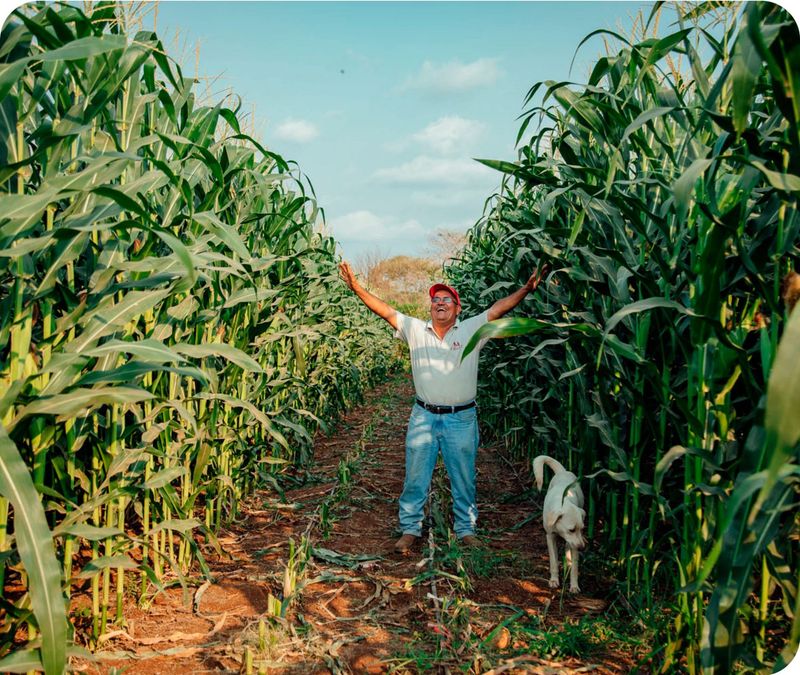 SmartStart - Mulago Foundation
