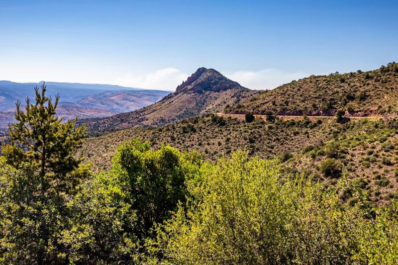 Springerville | Visit Arizona