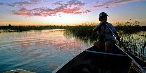 Lake Havasu & Western Arizona | Visit Arizona