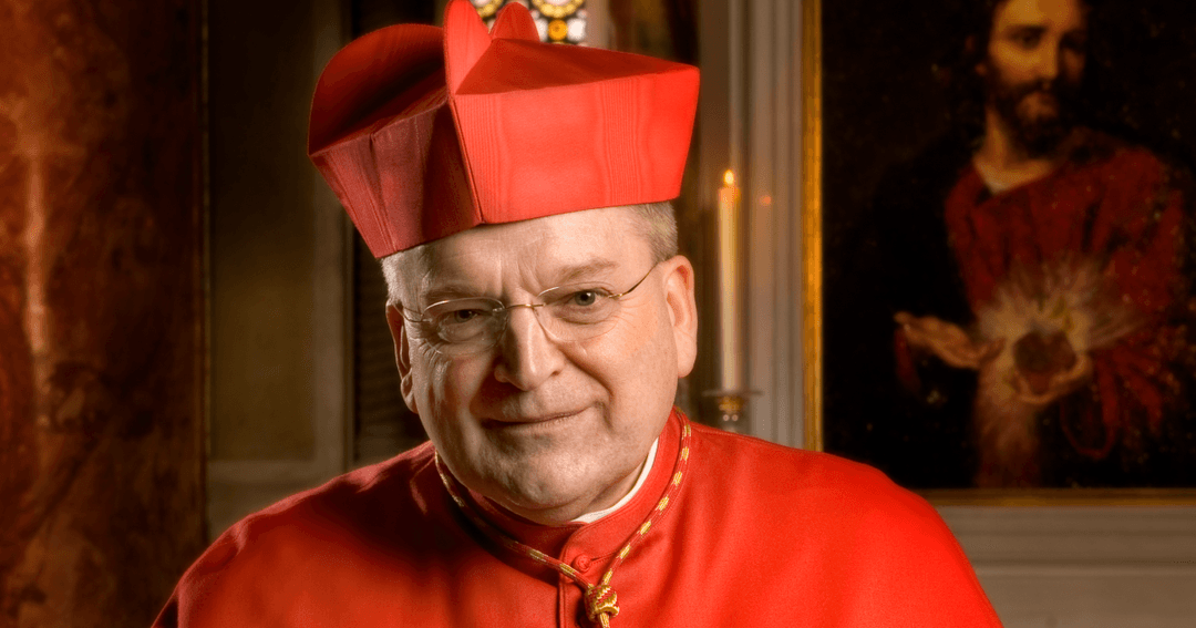 Entretien avec le cardinal Burke sur la liturgie, Noël et le conclave ...