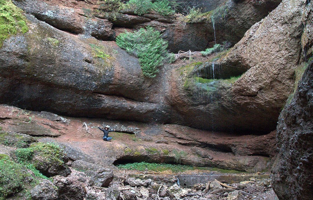 Géoparc de Percé | 500 milions d'année d'histoire de la Terre