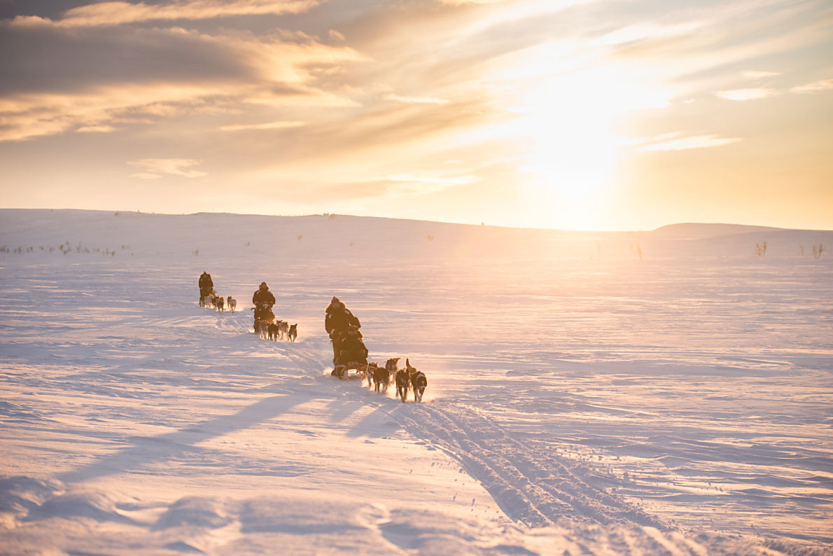 Winter Packages ᛫ Holmen Husky Lodge