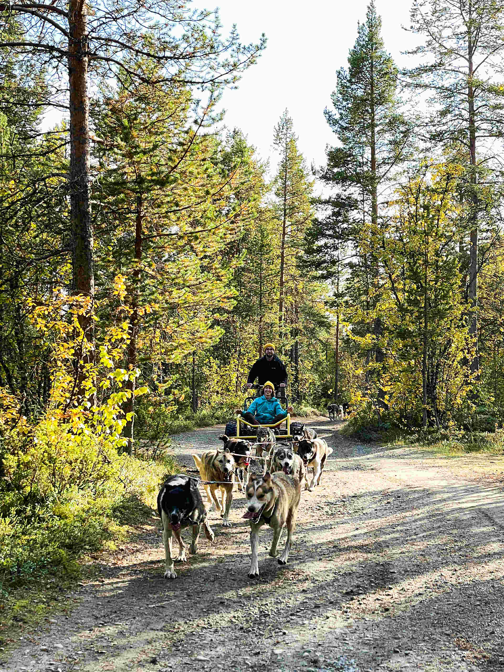 Summer Experiences ᛫ Holmen Husky Lodge