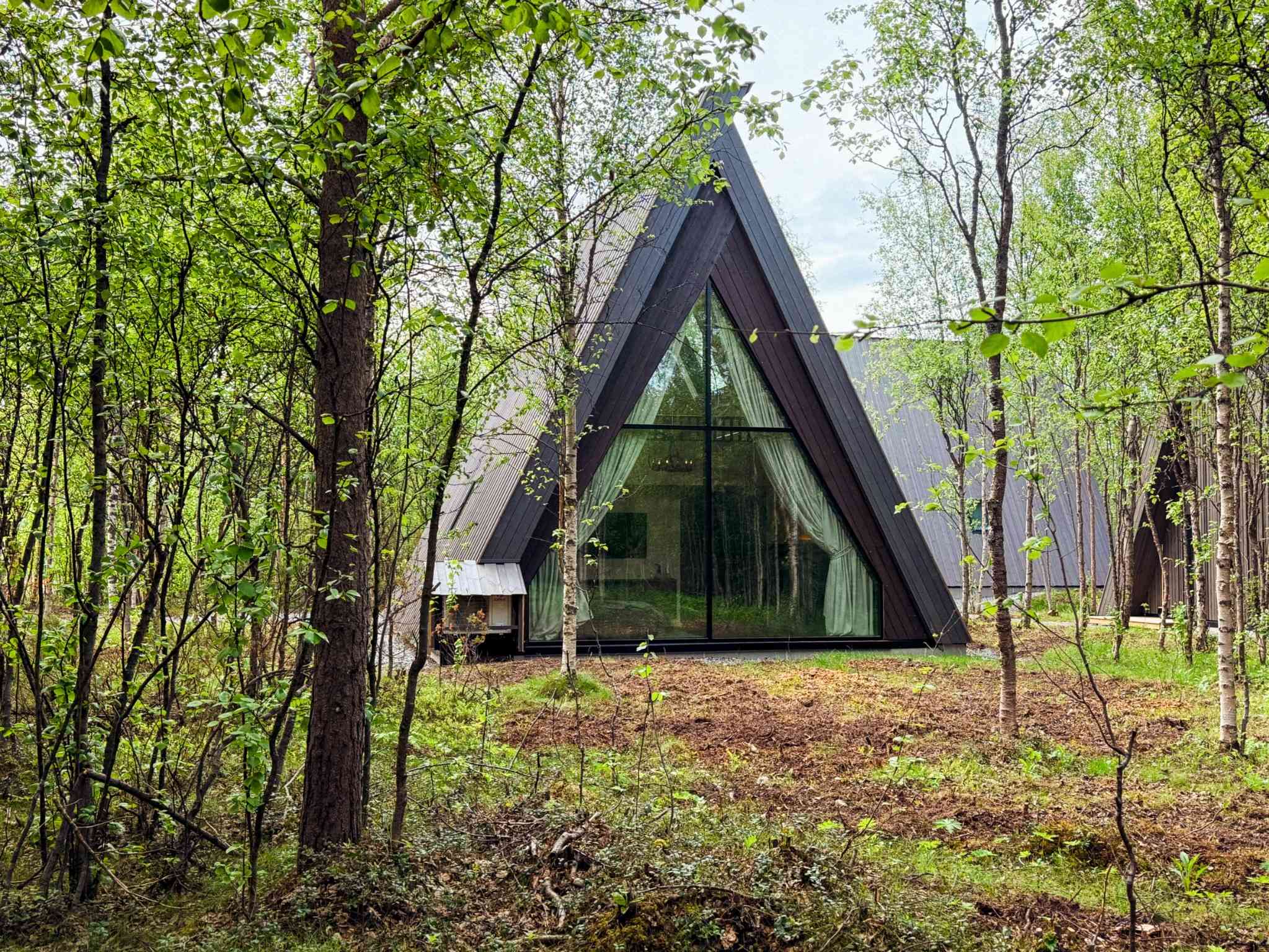 Holmen Husky Accommodation - Forest Suite - Summer