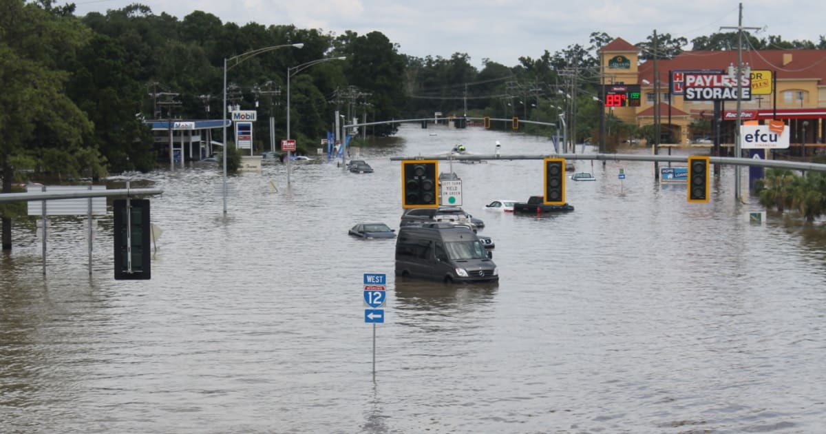 Navigating High-Risk Flood Zones in Louisiana | Lewis Mohr Insurance Agency