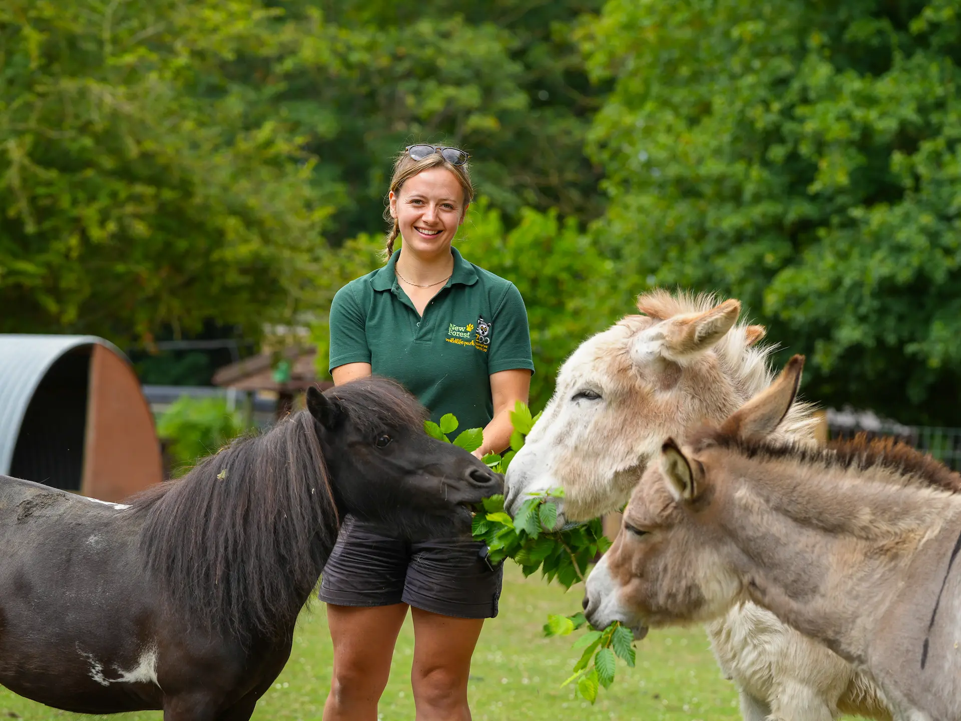 Affordable adventures in London