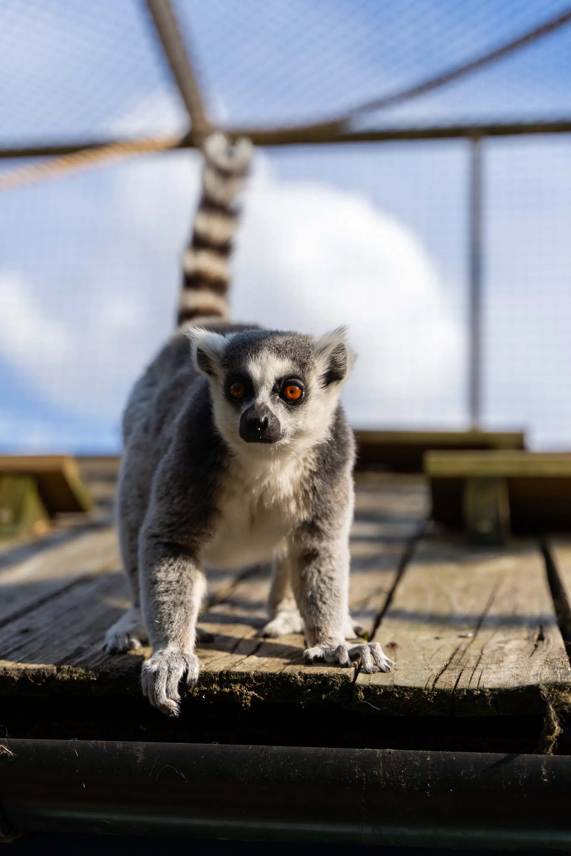 Affordable adventures in London