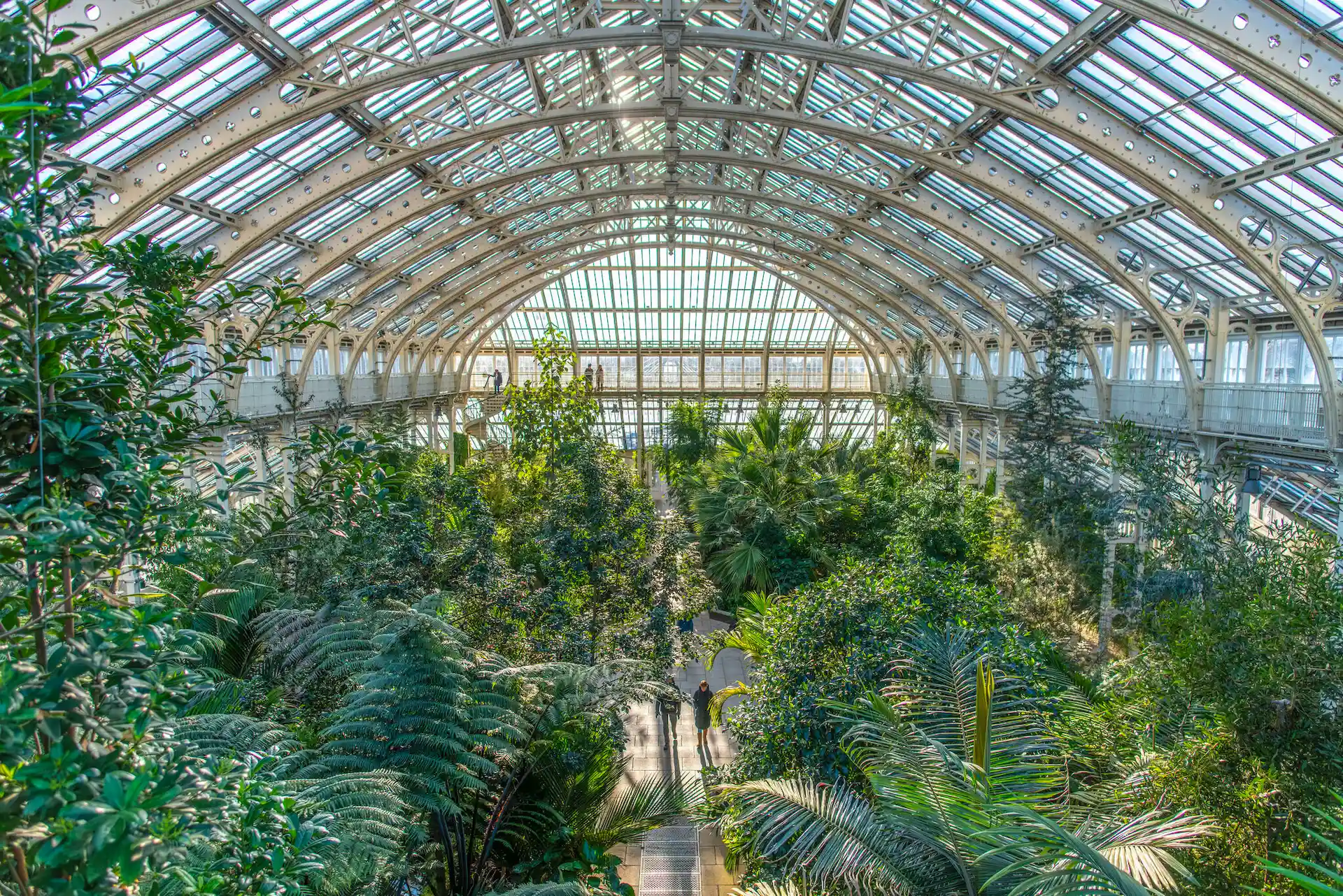 Affordable adventures in London