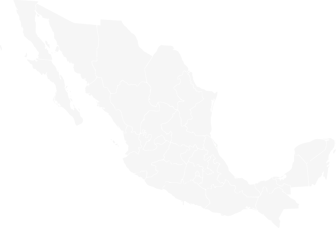What Do Jimadores Do in the Tequila Production Process?