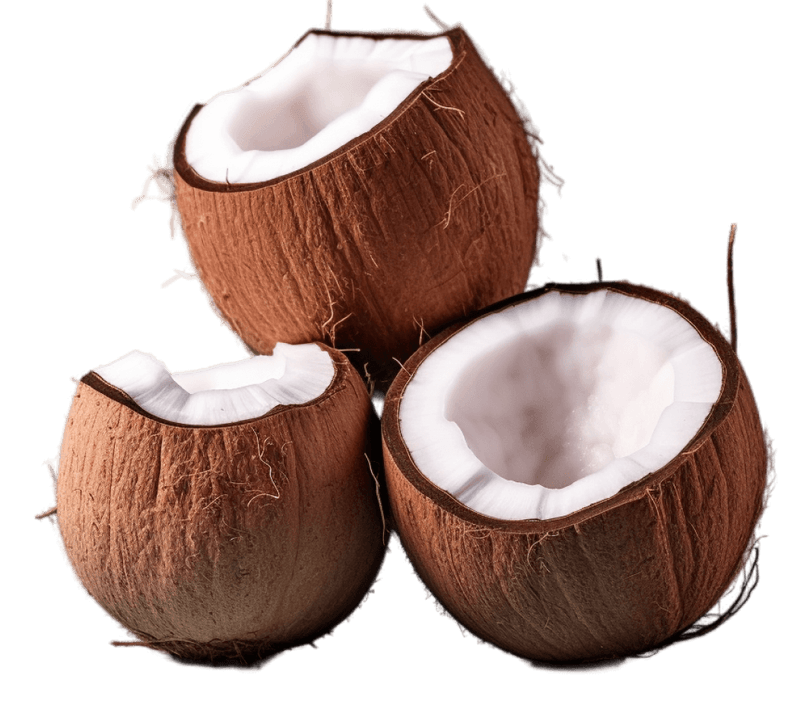 Premium Coconut Coir & Coco Husks | Gro-Med® | Vaighai