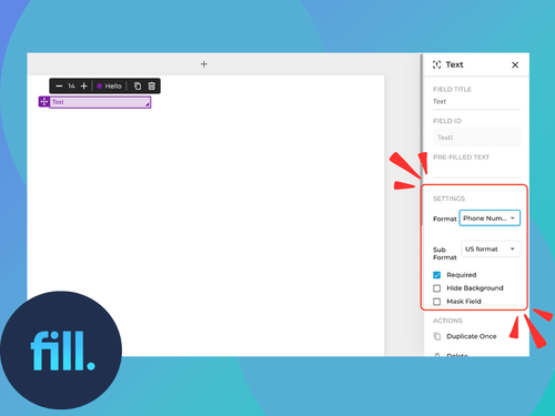 New Fields and Validation Formats - Fill