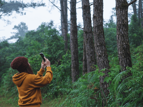 Urban Tree Summit 2025 | Learn from Leading Experts in Urban Forestry ...