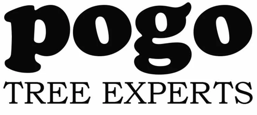 Urban Tree Summit 2025 | Learn from Leading Experts in Urban Forestry ...