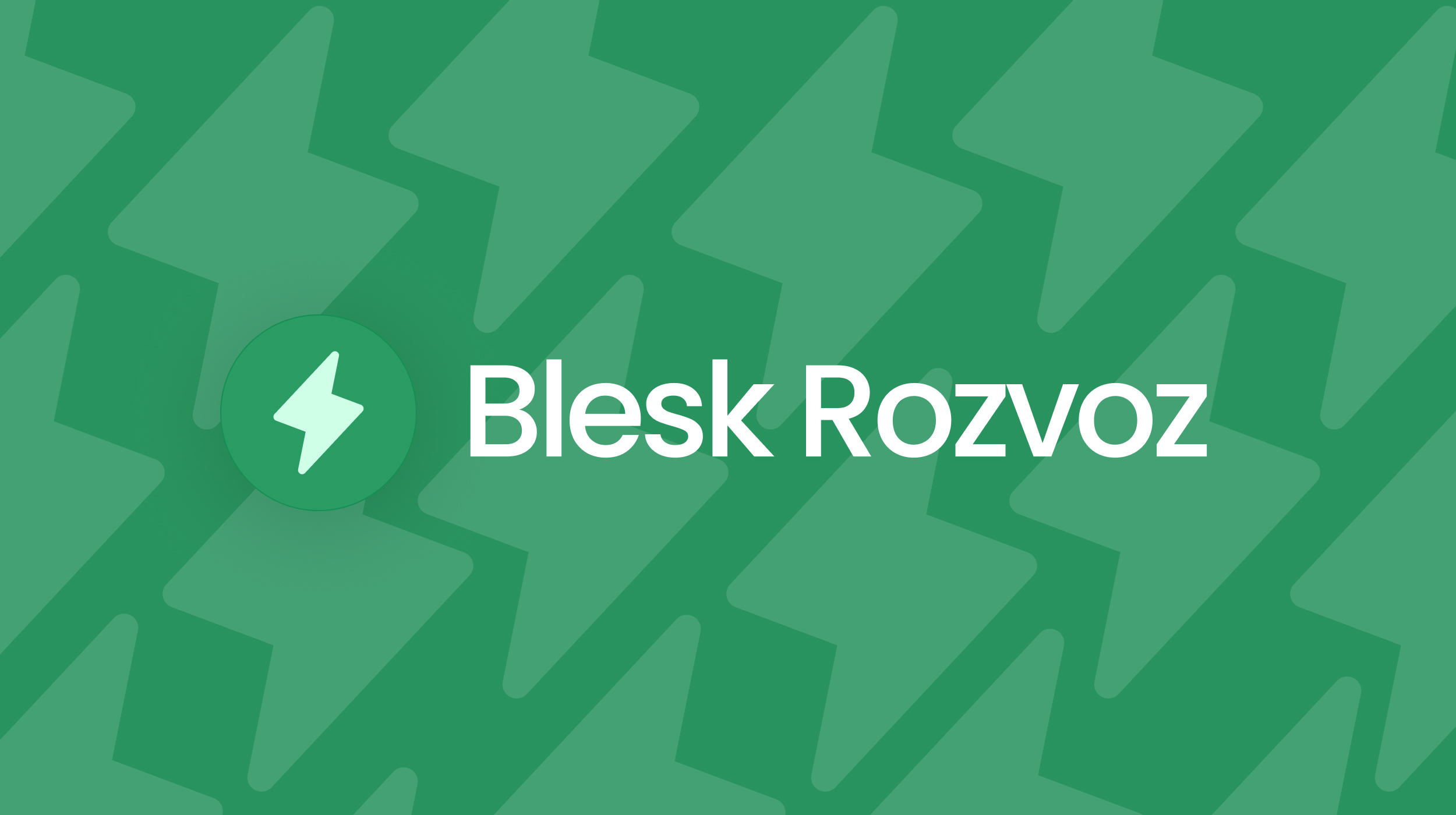 Blesk Rozvoz I Oficiální flotila společnosti Bolt v České republice