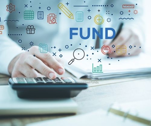 What's the Difference Between Restricted and Unrestricted Funds?
