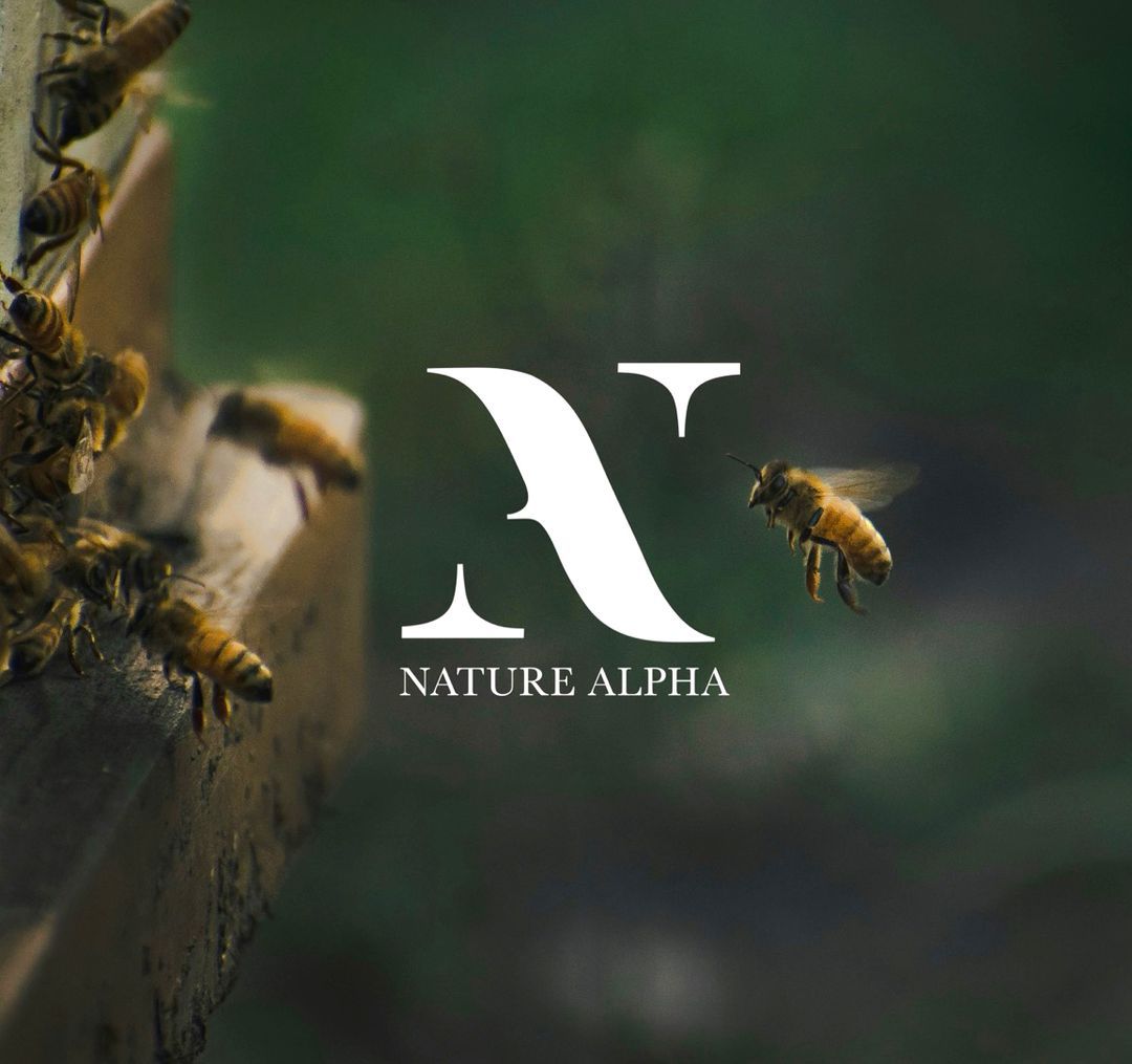 Press release: NatureAlpha Unveils Nature Value at Risk (NVaR) Framework