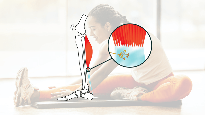 PAILs & RAILs: The Real Key to Flexibility