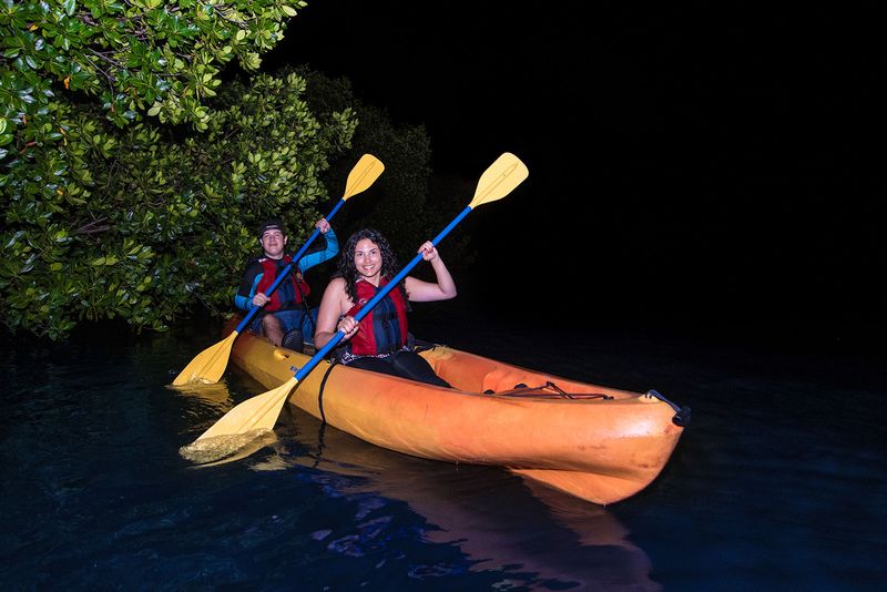 Bio Bay Kayaking Tour | Al Este Tours & Experiences