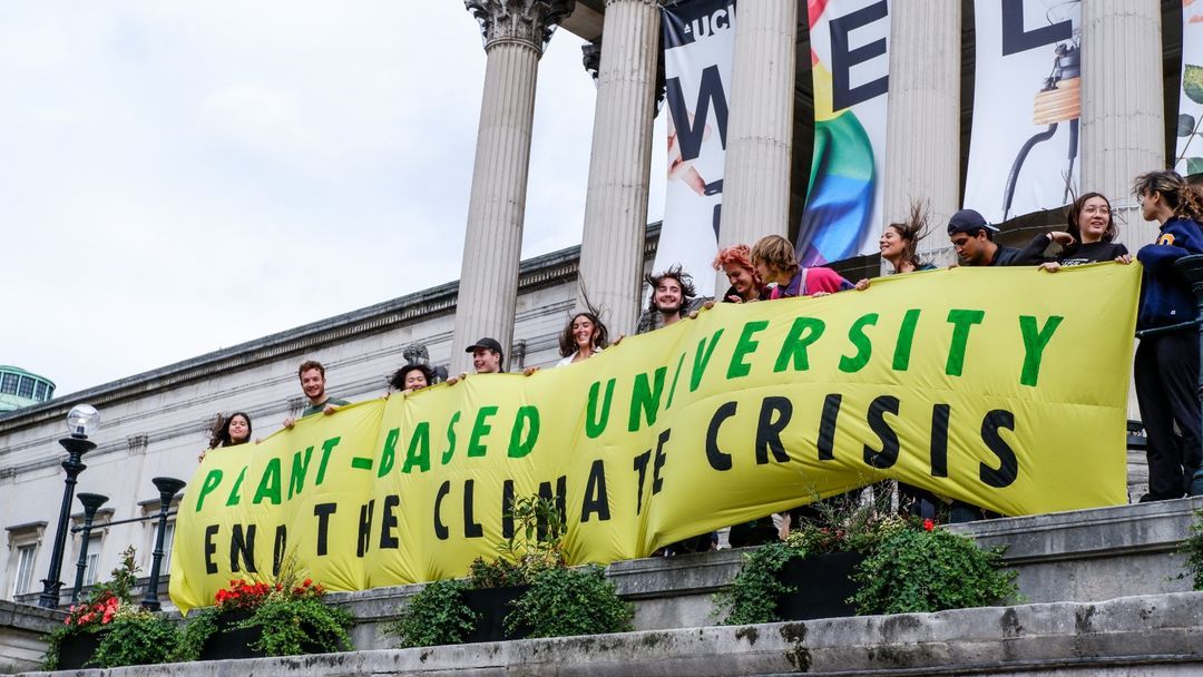 Plant-Based Universities