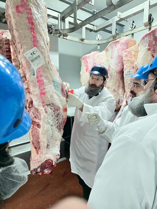 Mehadrin Meat, Premium Glatt Kosher Meat Since 1951