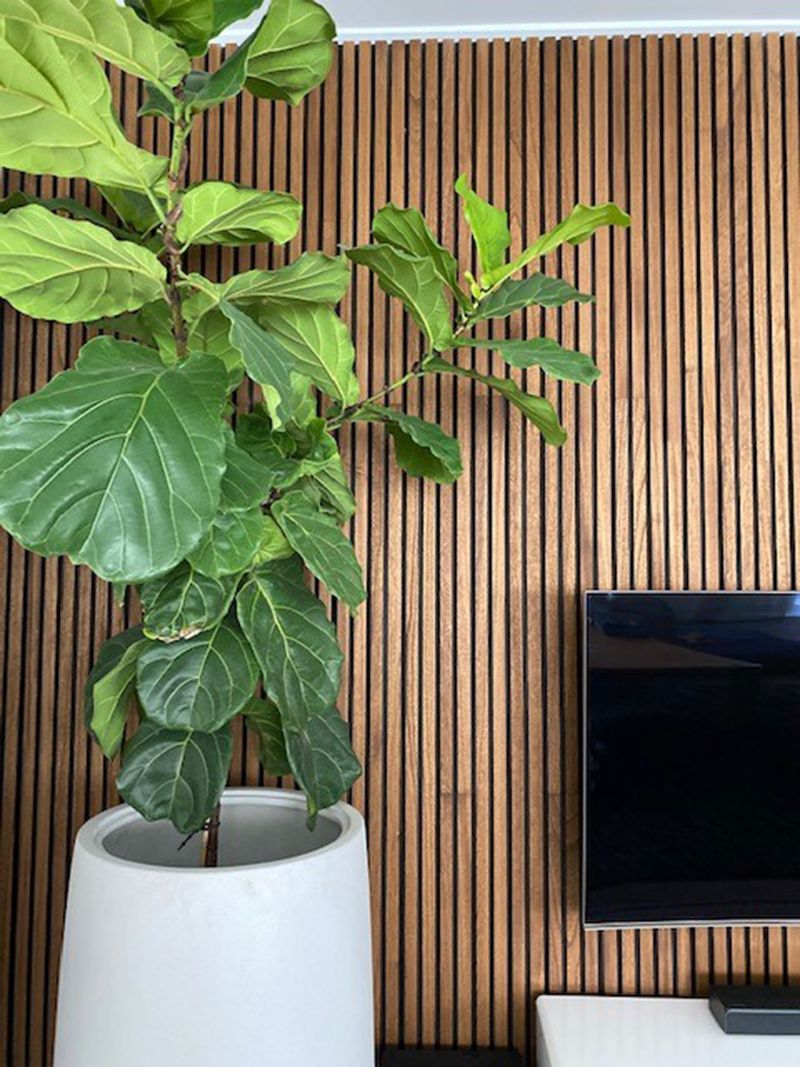 Shadowline | Glosswood Timber Products