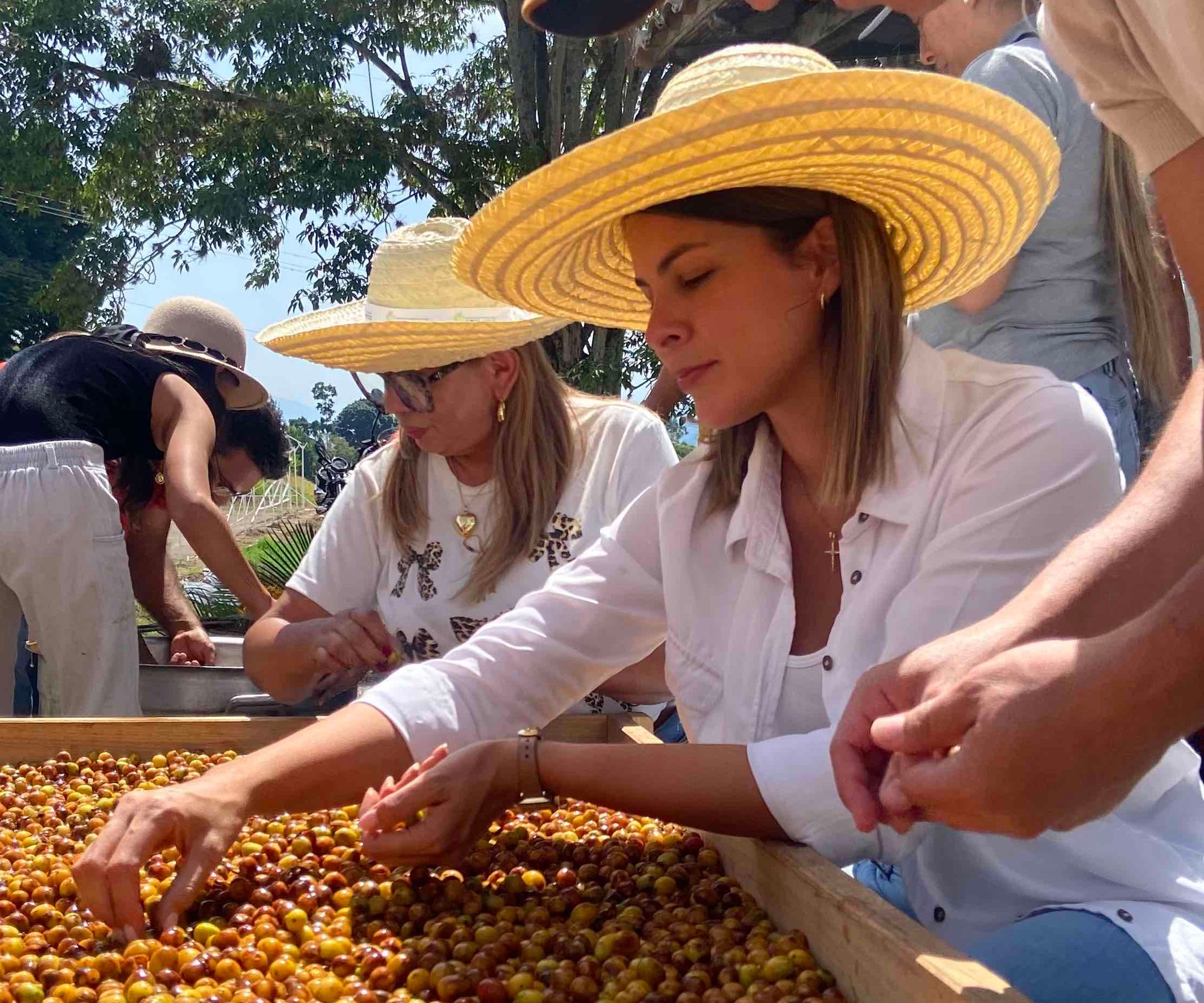 Coffee Quality Institute provides coffee education throughout the ...